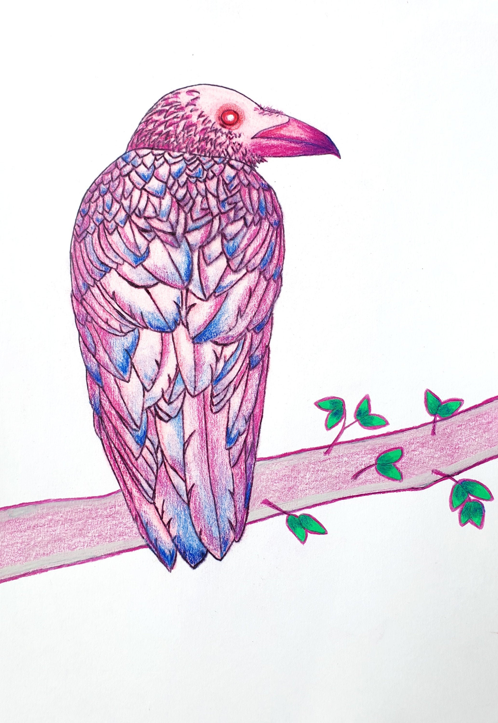 The Pink Crow | Original Drawing | Ideal Gift | Surrealism | Edgar ...