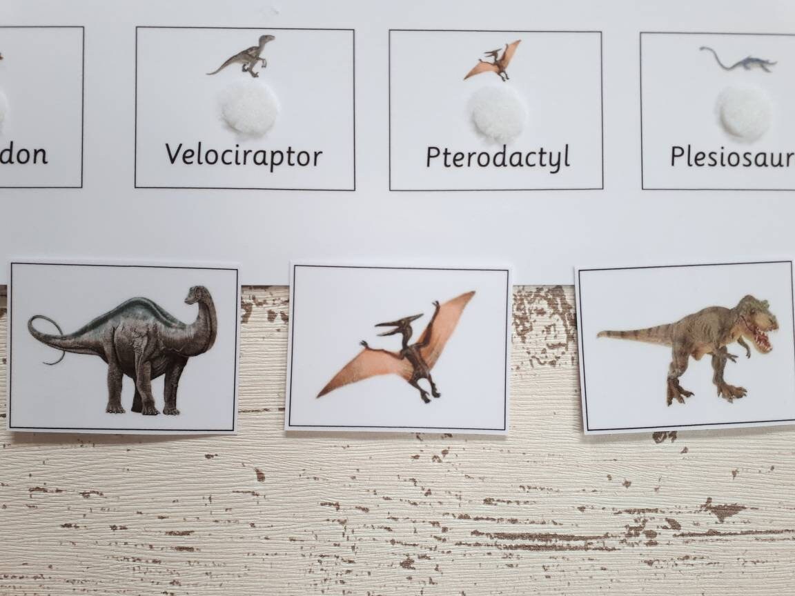 Dinosaur Matching Activity Educational Resource Game for - Etsy