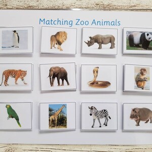Zoo Animals Matching Game, Educational Learning Resource, Home ...