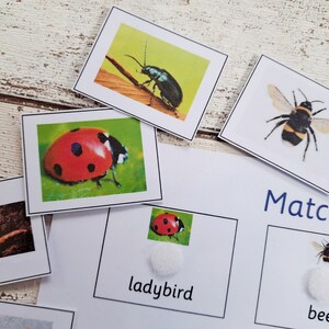 Minibeast Matching Activity Game for Toddlers Early Years - Etsy