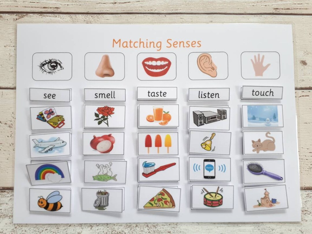 Senses Matching Activity, Educational Learning Resource, Home Schooling ...