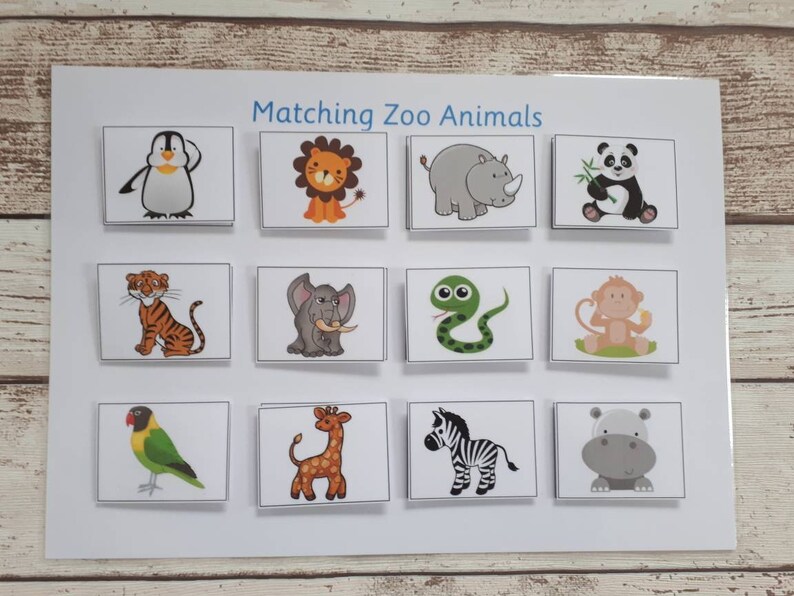 Zoo animals matching game educational learning resource home | Etsy