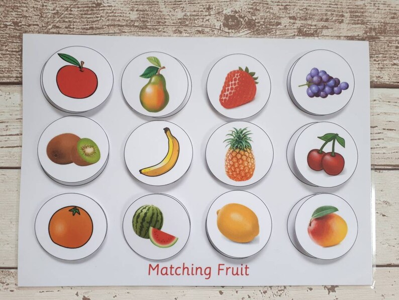 Fruit matching game home schooling educational learning | Etsy