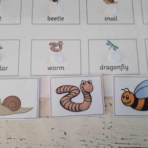 Minibeast Matching Activity Game for Toddlers Early Years - Etsy
