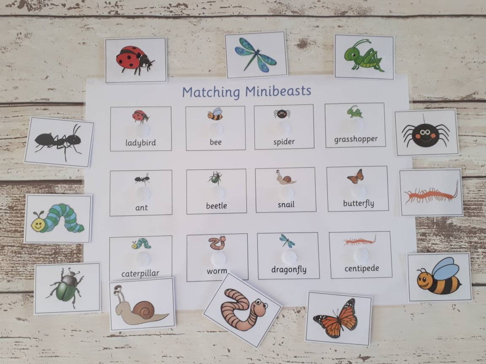 Minibeast Matching Activity Game For Toddlers Early Years Etsy UK minibeast-matching-activity-game-for-toddlers-early-years-etsy-uk