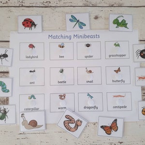 Minibeast Matching Activity Game for Toddlers Early Years - Etsy