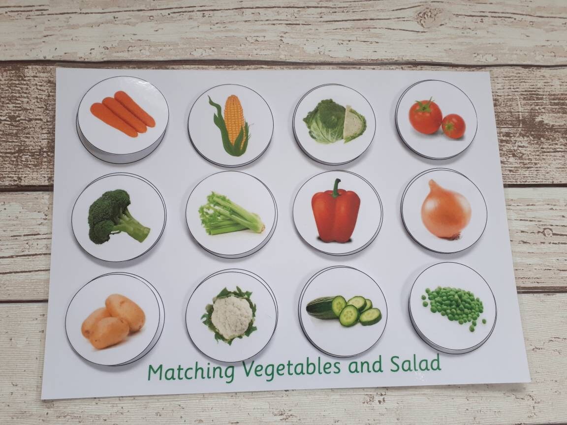 Vegetables/salad Matching Game Educational Learning Resource | Etsy