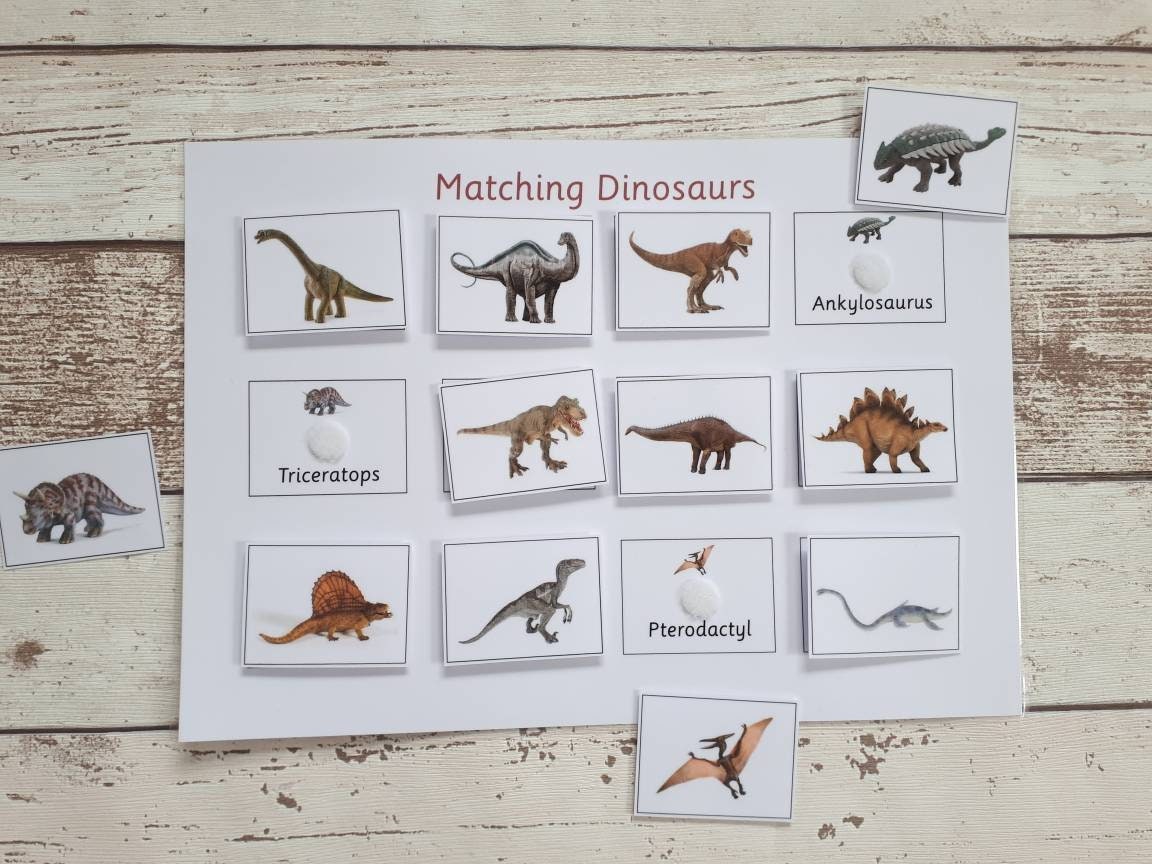 Dinosaur Matching Activity Educational Resource Game for - Etsy