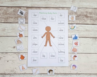 Body parts game Montessori activities Educational games for early ...