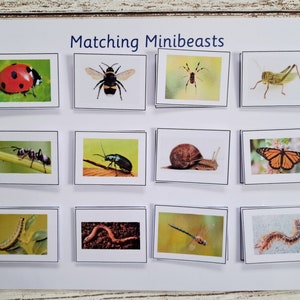 Minibeast Matching Activity Game for Toddlers Early Years - Etsy