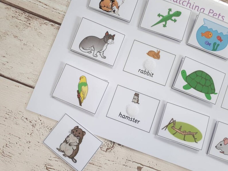 Pets matching game educational learning resource for | Etsy