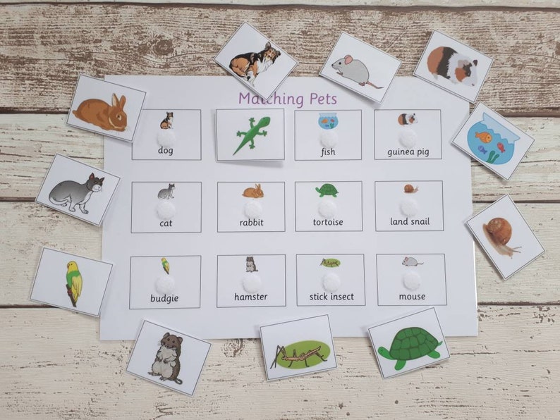 Pets Matching Game Educational Learning Resource for - Etsy