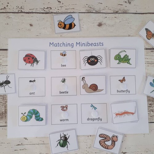 Minibeast Matching Activity Game for Toddlers Early Years - Etsy