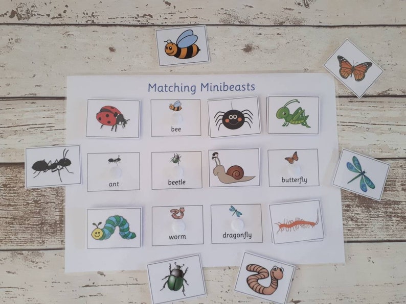Minibeast Matching Activity Game for Toddlers Early Years - Etsy