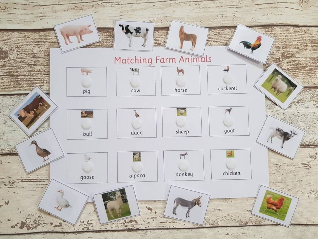 Buy Farm Animals Matching Game, Educational Resource, Home Schooling ...