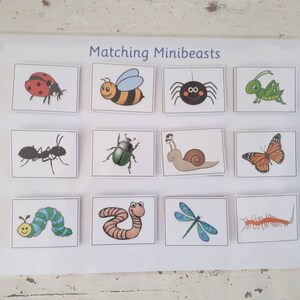 Minibeast Matching Activity Game for Toddlers Early Years - Etsy