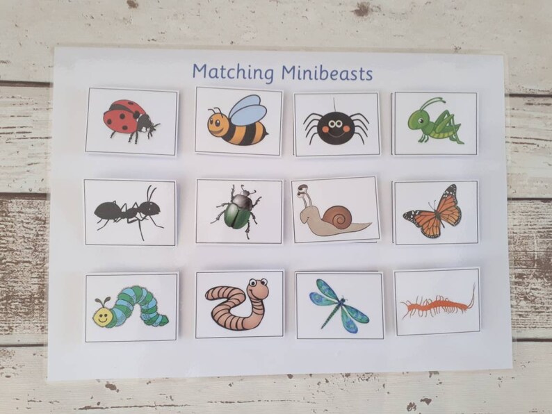 Minibeast Matching Activity Game For Toddlers Early Years Etsy UK minibeast-matching-activity-game-for-toddlers-early-years-etsy-uk