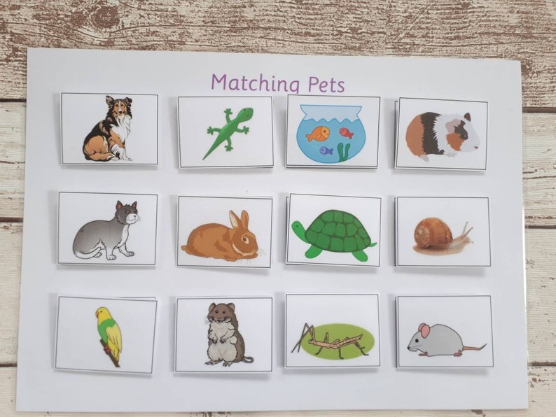 Pets Matching Game Educational Learning Resource for - Etsy