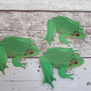 5 Little Speckled Frogs Counting Song, Math Educational Resource, Frog ...