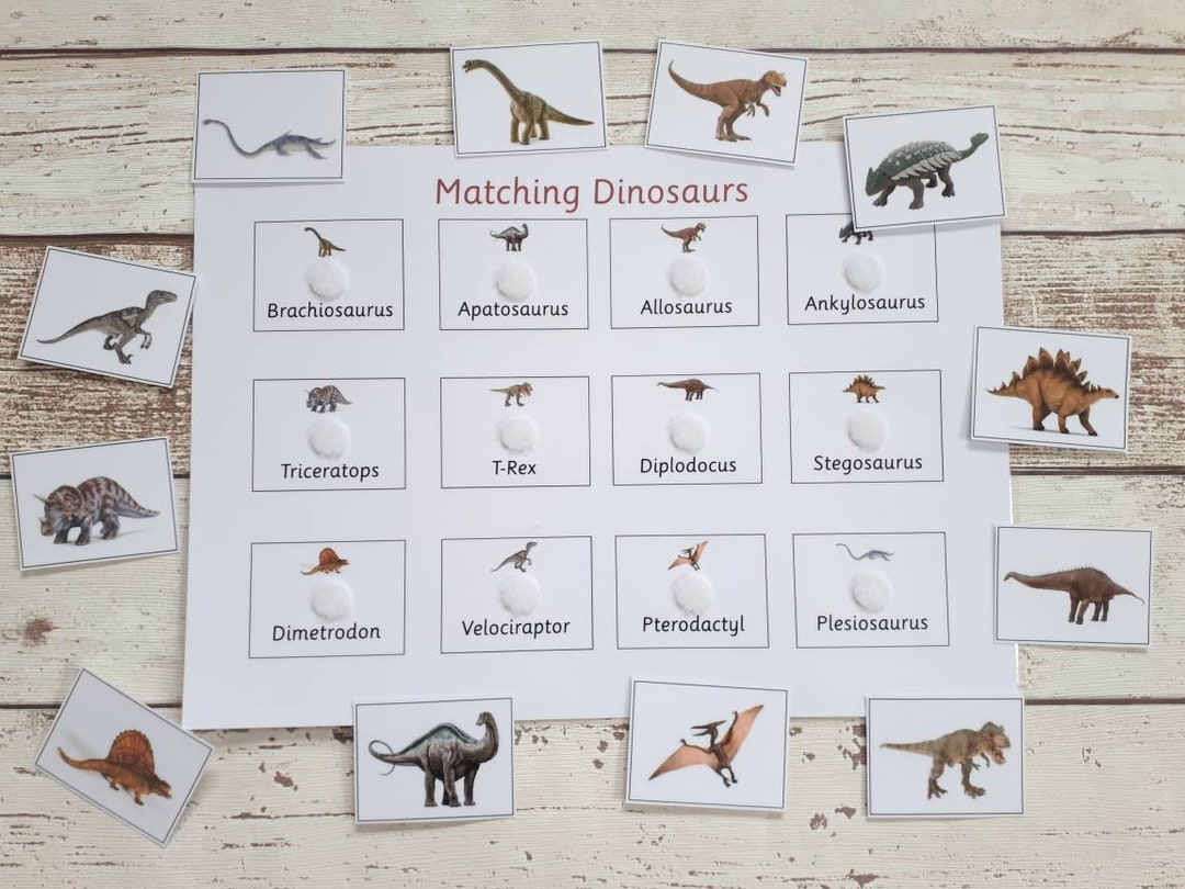 Dinosaur Matching Activity, Educational Resource, Game for Toddlers ...