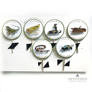 Reptile Party Bundle, Bearded Dragon Decoration Set, Lizard Birthday ...