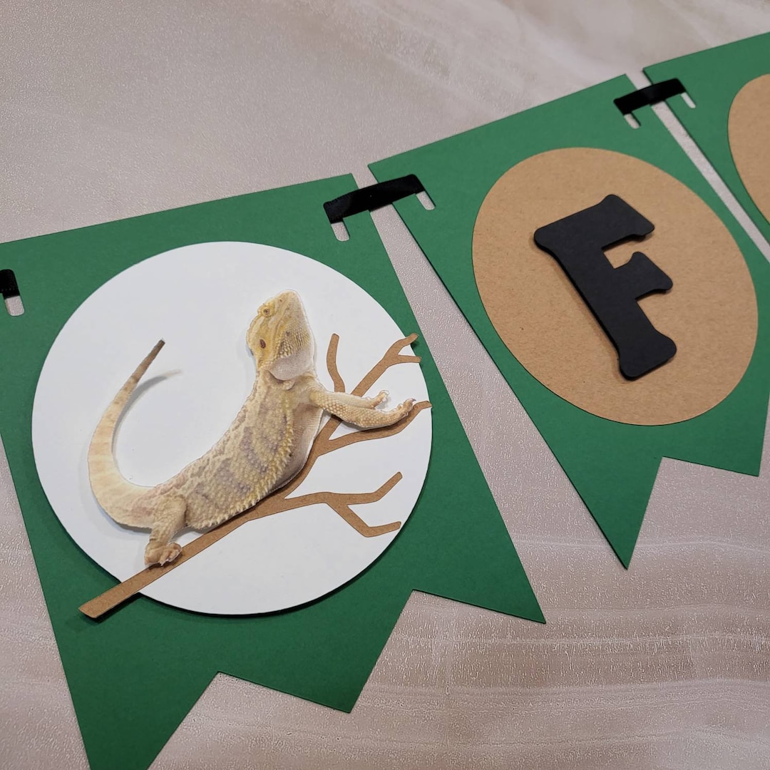 Reptile Birthday Banner, Lizard Birthday Party , Gheco Theme Party ...