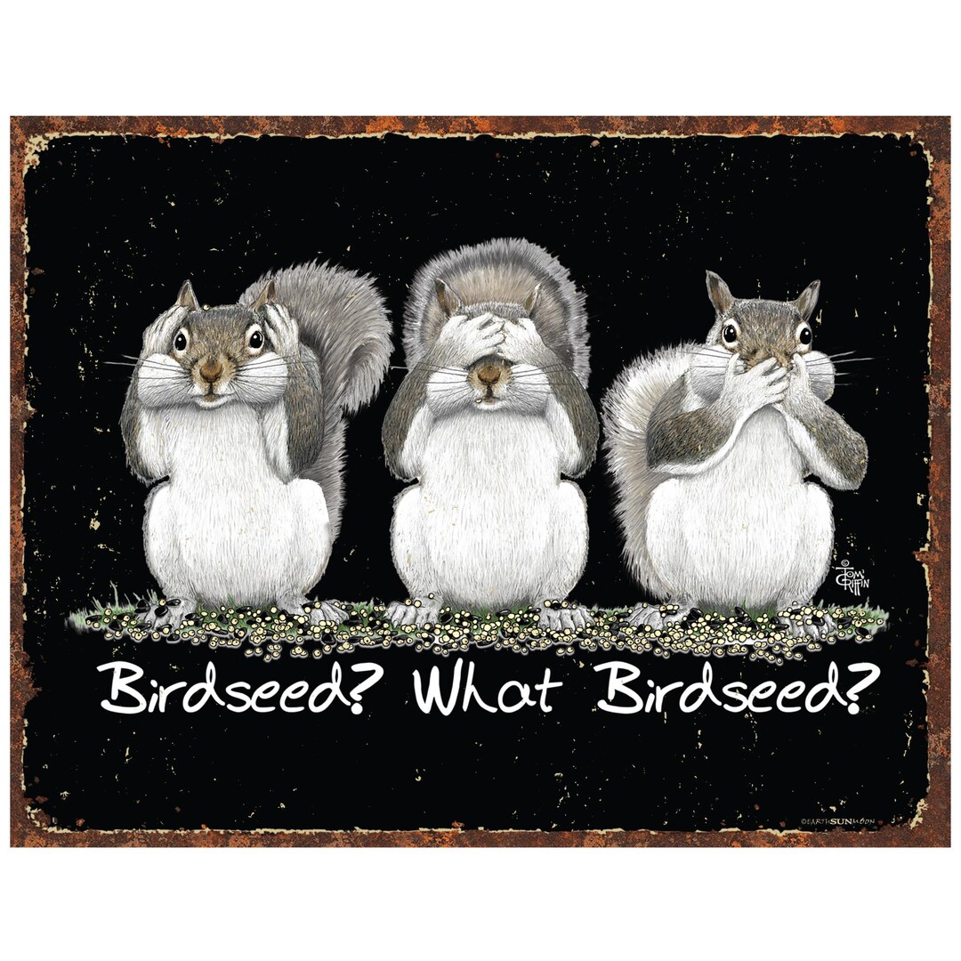 Squirrel Sign, Birdseed Tin Sign, Wall Art, Birdwatcher, Squirrel ...