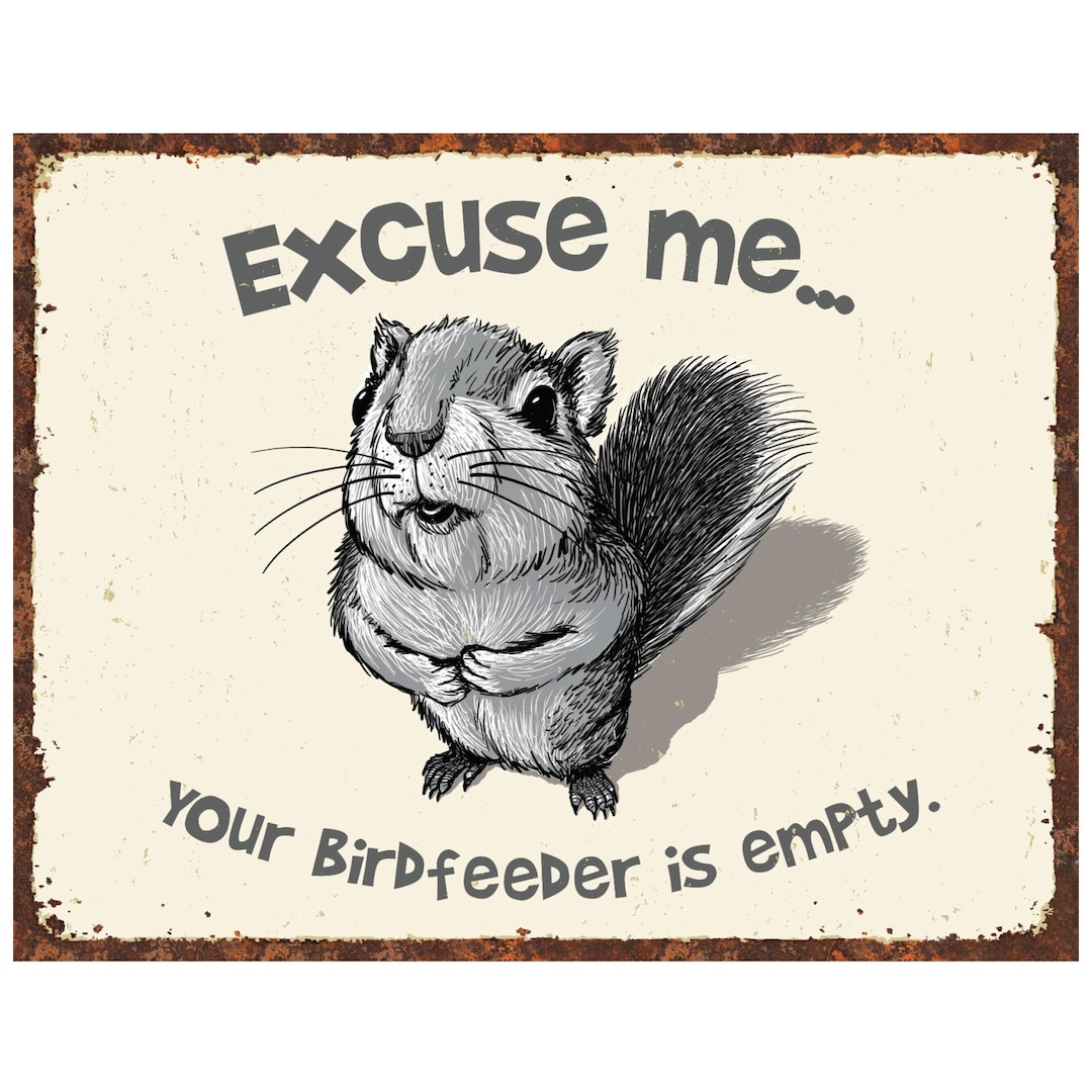 Funny Squirrel Tin Sign, Excuse Me Squirrel, Wall Art, Birdwatcher ...