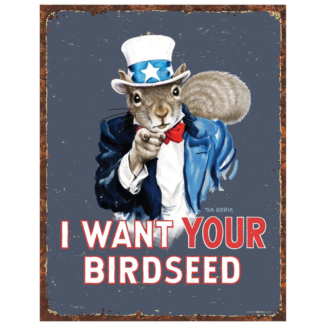 Uncle Sam Squirrel Sign Patriotic Signs Tin Sign Wall Art Birdwatcher ...
