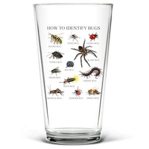 Bug Cup How to Identify Bugs Color Printed Pint Glass Funny Bugs Nature ...