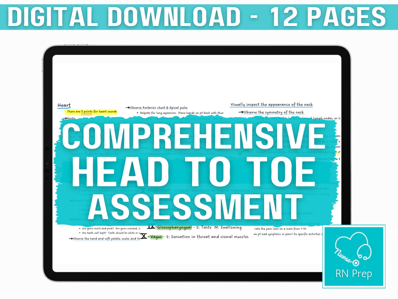 Comprehensive Head-to-toe Assessment Survival Guide, Nursing Study ...
