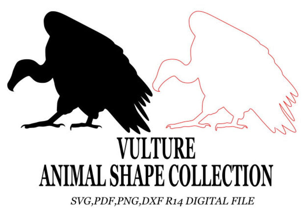 Vulture Outline and Silhouette Digital Download SVG Pdf Png Dxf R14 ...