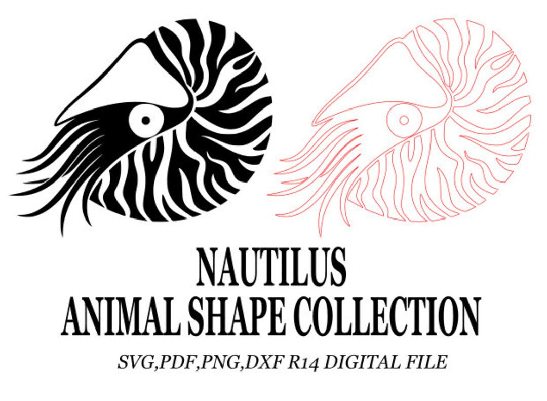 Nautilus Outline and Silhouette Digital Download Svg,pdf,png Dxf File ...
