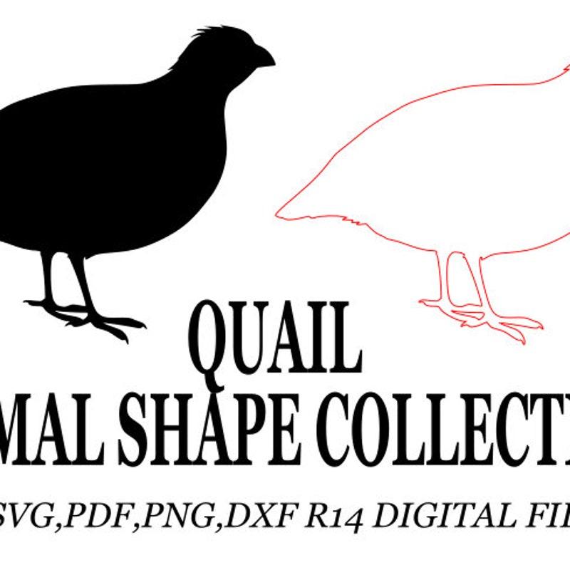 Quail Embroidery - Etsy