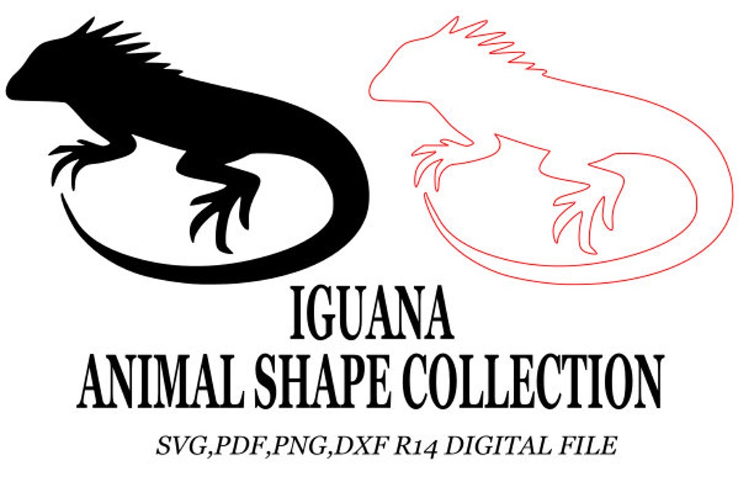 Iguana Outline and Silhouette Digital Download Svg,pdf,png Dxf R14 File ...