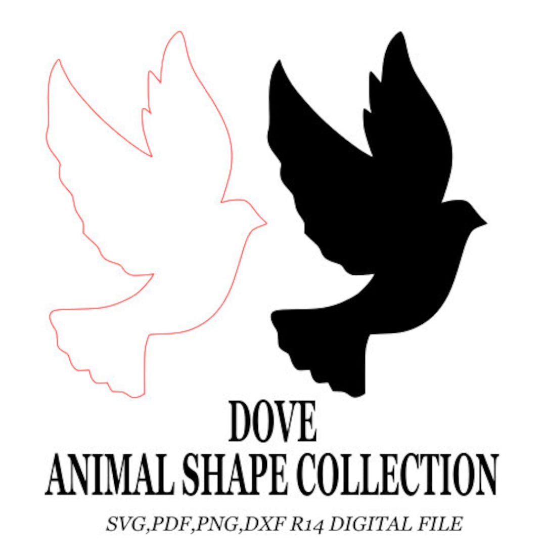 Contorno y silueta de paloma Descarga digital SVG,pdf,png dxf r14 ...