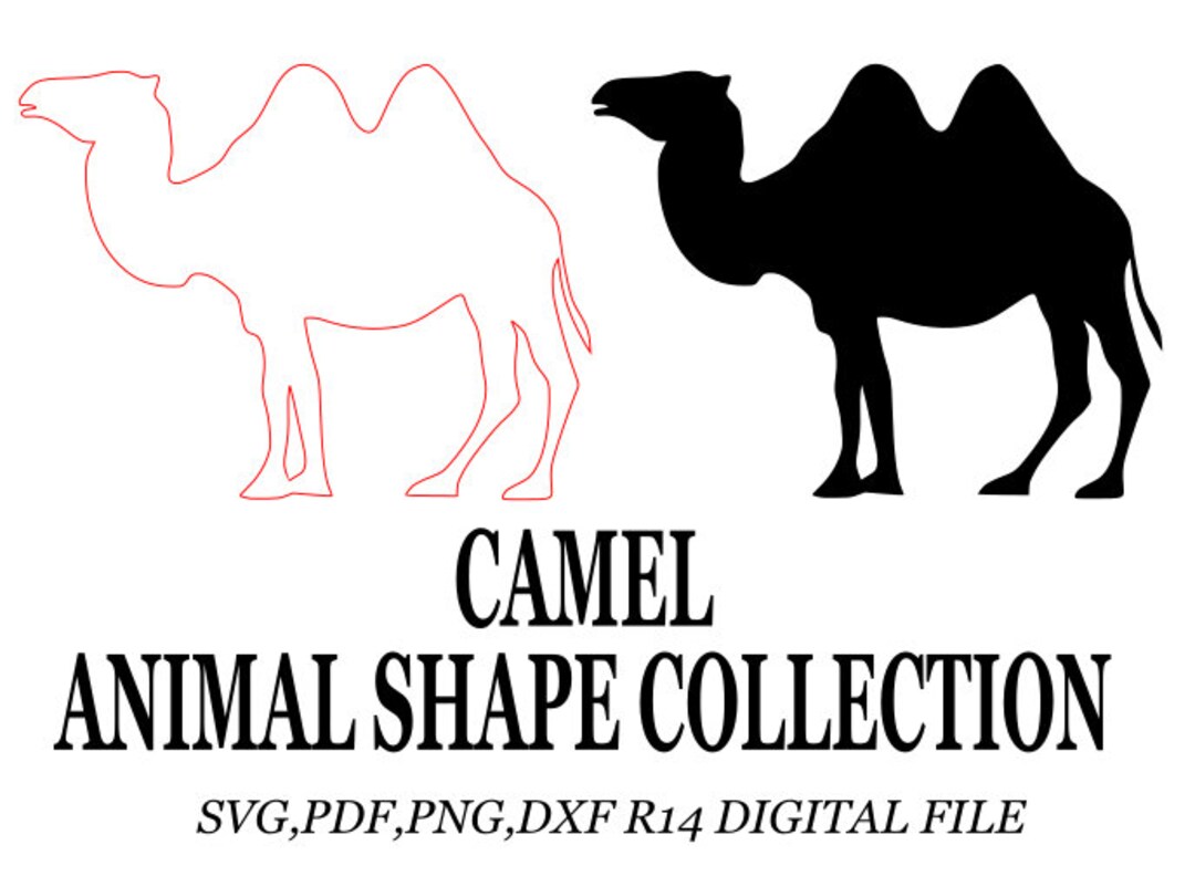 Contorno y silueta de camello Descarga digital SVG,pdf,png dxf r14 ...