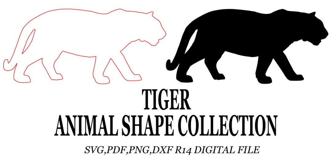 Tiger Outline and Silhouette Digital Download Svg,pdf,png Dxf R14 File ...