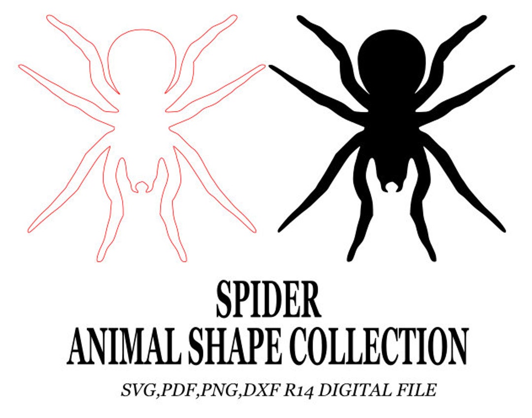 Contorno y silueta de araña Descarga digital SVG, pdf, png dxf r14 ...