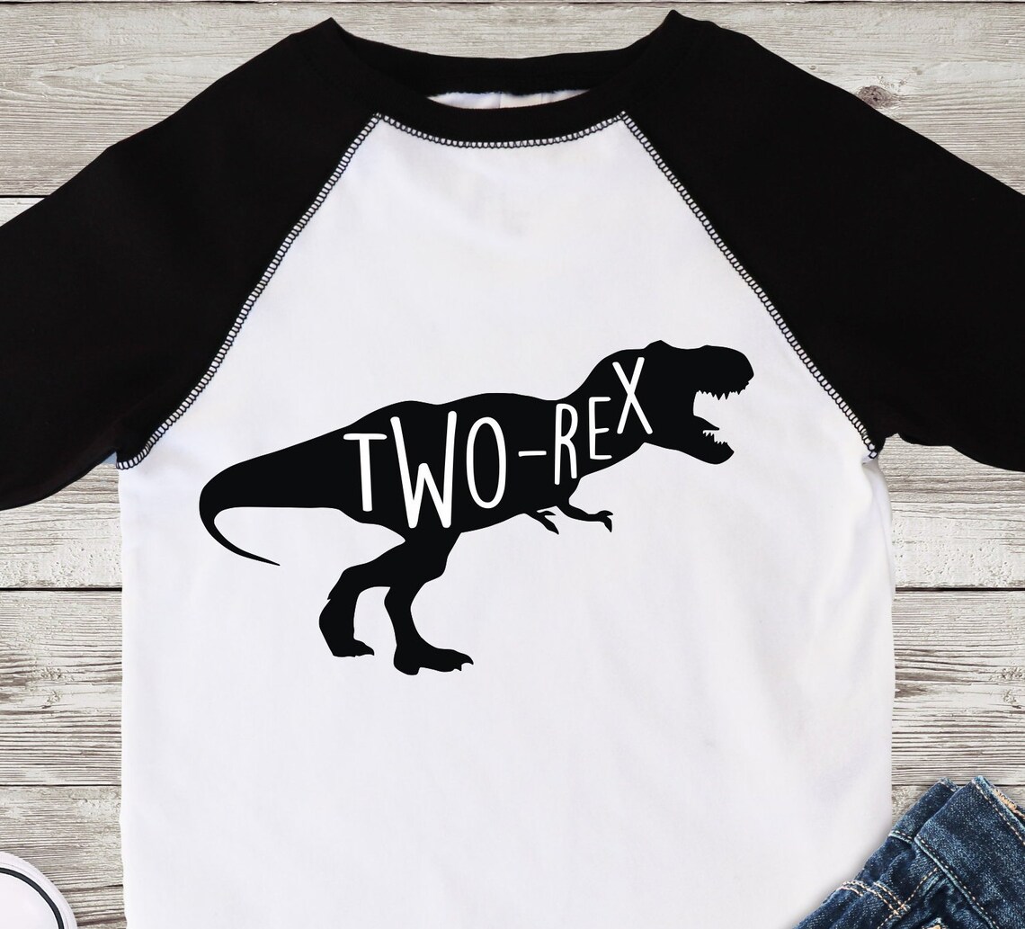 Two Rex Birthday Shirt 2nd Birthday Boy Dinosaur Shirt | Etsy