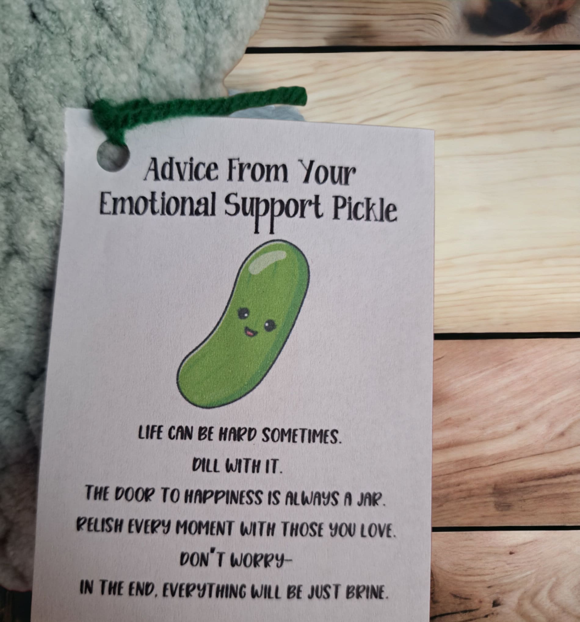 Emotional Support Pickles, Crochet Pickles, Knitted Pickles, Happy ...