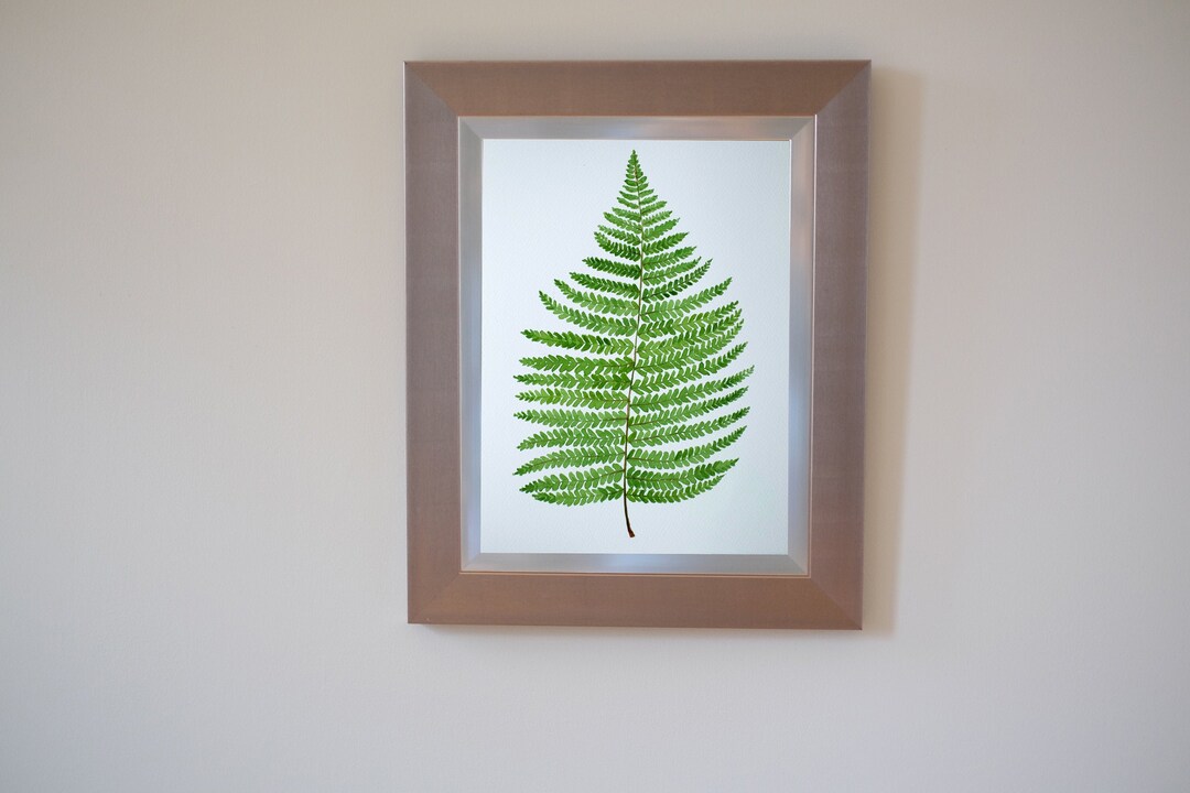 Fern Painting/original Watercolour/forest Plants Painting/fern Leaf Art ...