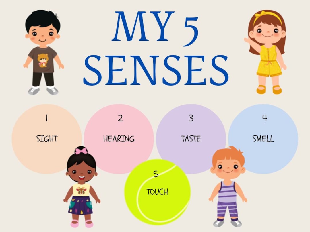 My 5 Senses _ Poster _ Wall Art _ Chart _ Printable Digital Downoad ...
