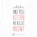 SVG / DXF are You Kitten Me Right Meow Cut | Etsy