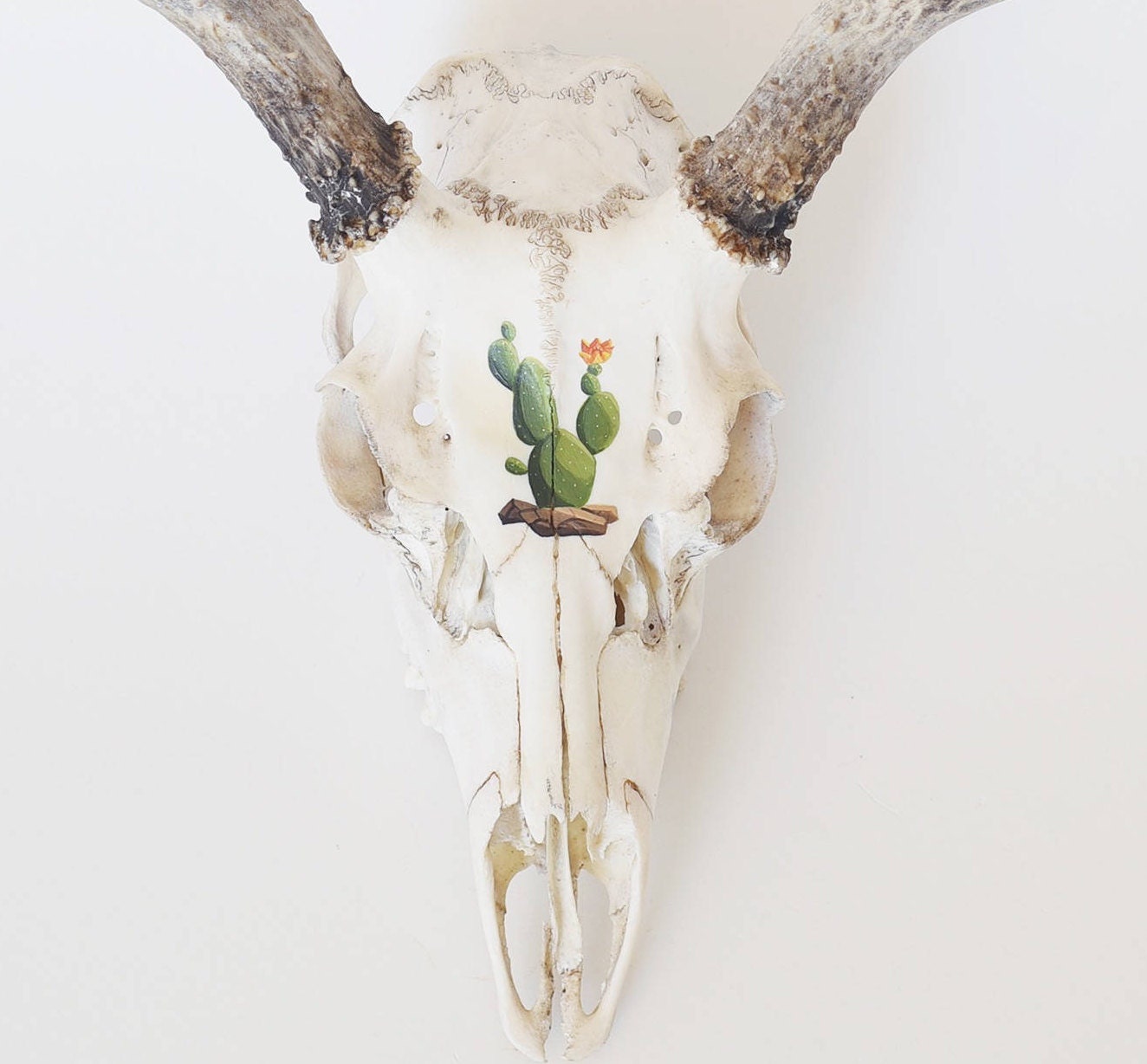 Hand Painted Deer Skull - Etsy