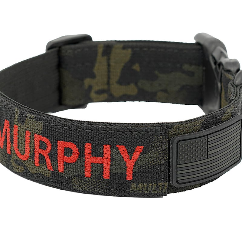 Tactipup Personalized Collar - Etsy
