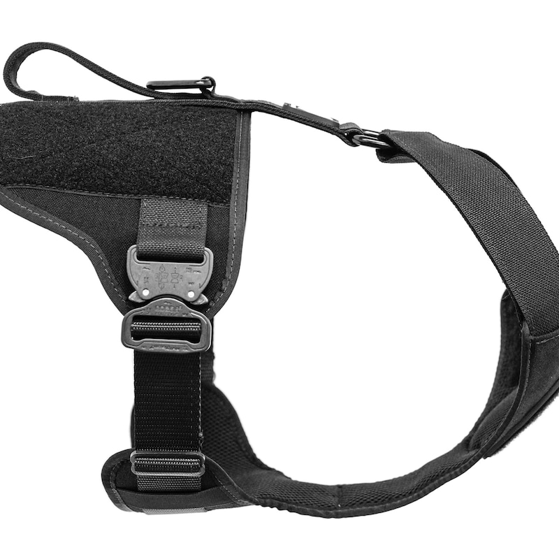 Tactipup Personalized Collar - Etsy