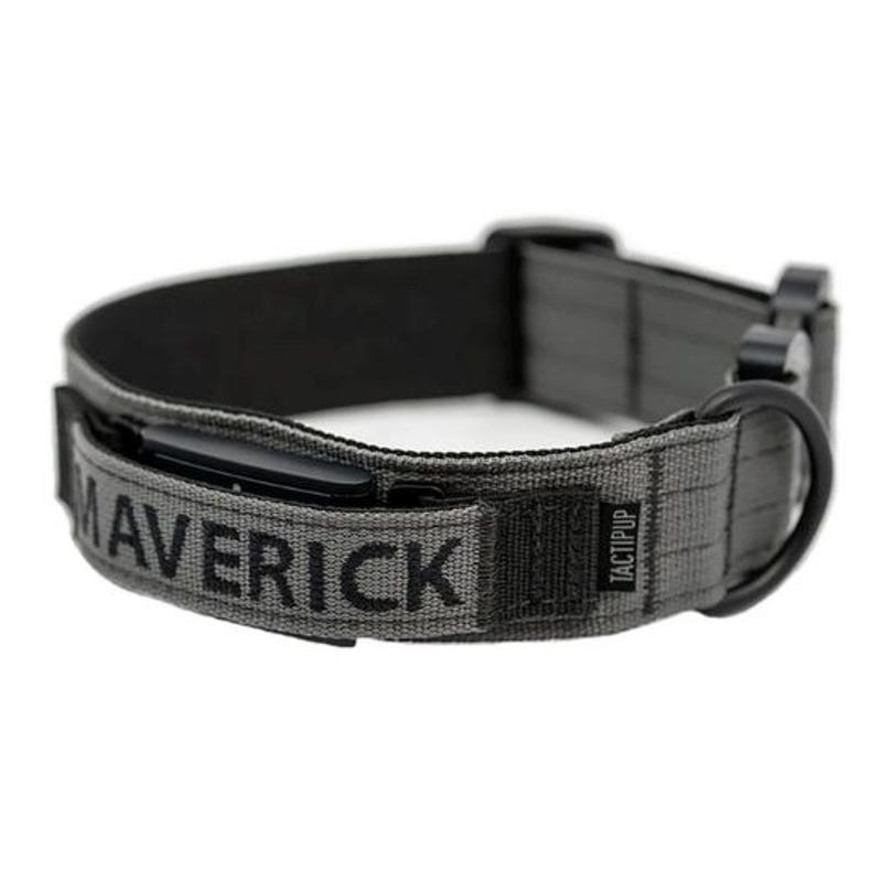 Tactipup Personalized Collar - Etsy