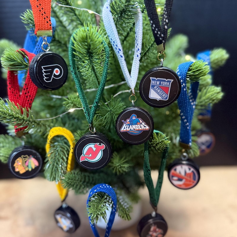 3d Hockey Puck Ornament - Etsy Canada