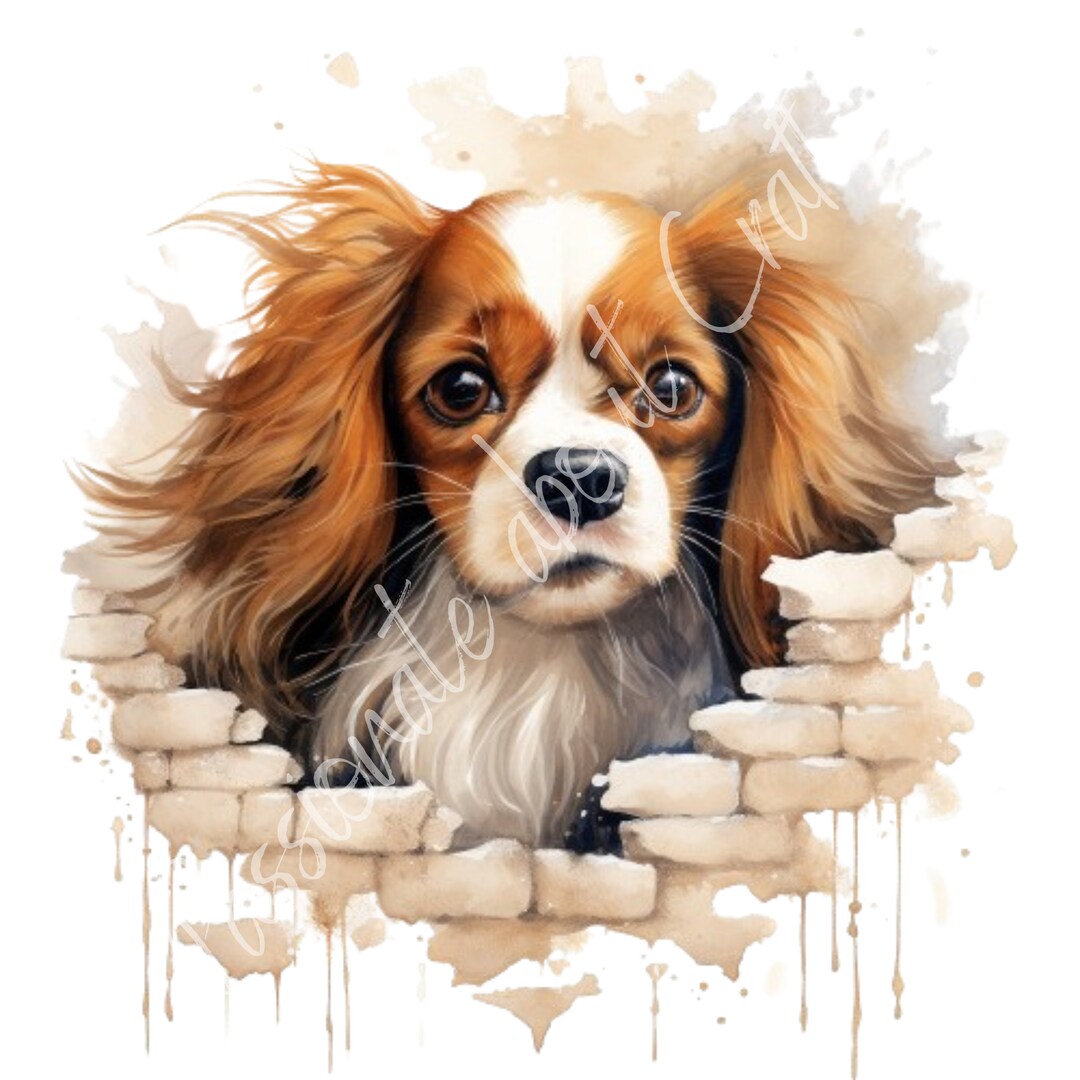Cavalier King Charles Spaniel Clip Art Dog Images Instant - Etsy